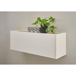 Aktenschrank Inosign "CiTY/GiRON", weiß, B:100cm H:35cm T:30cm, Schränke, Hängeschrank zeitlos modern, wohnliches Home Office, Breite 100 cm