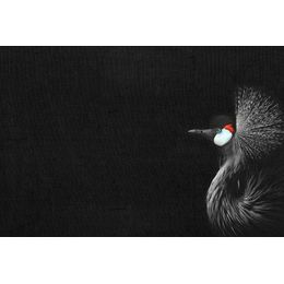 Livingwalls LIVING WALLS Fototapete "ARTist Crowned Crane Black" Tapeten Vlies, Wand, Schräge Gr. B/L: 4 m x 2,7 m, rot (rot, schwarz, weiß) Fototapeten
