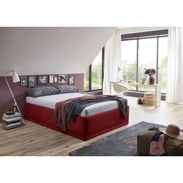 Polsterbett "Texel", rot (bordeaux, rot), B:146cm H:42cm L:206cm, Bezug Bett: Veloursstoff 100% Polyester oder Microfaser (100% Polyester);Bonnell-Federkernmatratze: 51% Polypropylen, 39% Polyester und 10% Baumwolle;Kaltschaummatratze: 100% Polyester, Bezug abnehm- und waschbar bis 60C;Kissenbezug: 100% Polyester, Füllung : 100% Polyester (Hohlfaser), Westfalia Schlafkomfort, Betten, Komforthöhe m