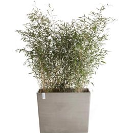 Blumentopf Ecopots "Paris mit Rollen 85 Taupe" Pflanzgefäße Gr. B/H/T: 85,2 cm x 65,8 cm x 39,5 cm, grau (taupe) Blumentöpfe -kästen für den Außenbereich: frostsicher, bruchsicher und lichtbeständig