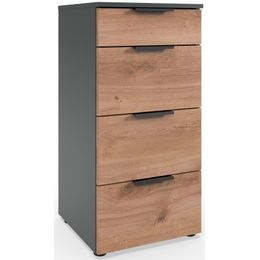 Schubkastenkommode wimex "Level by fresh to go" Sideboards Gr. B/H/T: 41 cm x 84 cm x 41 cm, 4, schwarz (front plankeneiche nachbildung, korpus graphit) Schubladenkommoden 4 Schubladen mit soft-close Funktion, 41cm breit, 84cm hoch