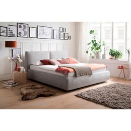 Meise Möbel Polsterbett MEISE.MÖBEL "Atesio", grau (hellgrau), B:199cm H:103cm L:225cm, Bezug Bett: Stoff (90% Polyester, 10% Baumwolle), Betten, Wahlweise mit Lattenrost, Matratze und Bettkasten