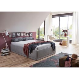 Polsterbett "Texel", grau, B:146cm H:42cm L:206cm, Bezug Bett: Veloursstoff 100% Polyester;Bonnell-Federkernmatratze: 51% Polypropylen, 39% Polyester und 10% Baumwolle;Kaltschaummatratze: 100% Polyester, Bezug abnehm- und waschbar bis 60C;Kissenbezug: 100% Polyester, Füllung : 100% Polyester (Hohlfaser), Westfalia Schlafkomfort, Betten, Komforthöhe mit Zierkissen, Bettkasten bei Ausführung mit Mat