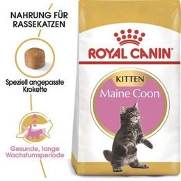 Royal Canin Maine Coon Kitten 10 kg