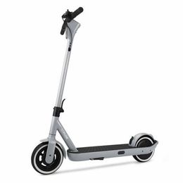 SOFLOW SO ONE E-Scooter mit Straßenzulassung silber/grau