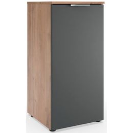 Kommode wimex "Level by fresh to go" Sideboards Gr. B/H/T: 41 cm x 84 cm x 41 cm, schwarz (front graphit, korpus plankeneiche nachbildung) Kommode 1-türig mit soft-close Funktion, 41cm breit, 92cm hoch