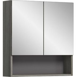 Spiegelschrank Welltime Schränke Gr. B/H/T: 60 cm x 63 cm x 16 cm, 2 St., silberfarben (rauchsilber nb) Badmöbel, Badschrank, Spiegelschrank