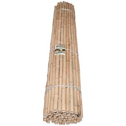 Windhager Sichtschutzzaunmatten Zaunelemente natürlicher Sichtschutz in Premium-Qualität, L: 1,8 m Gr. H/L: 180cm x 1,8 m, beige (natur)