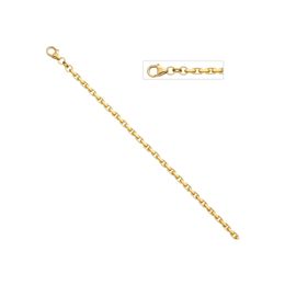 Goldarmband Jobo Armbänder Gr. Gelbgold 585, gelb (gelbgold 585) Damen Ankerarmband 585 Gold diamantiert 21 cm