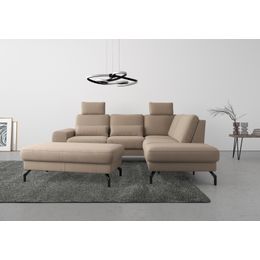 Sit & More Ecksofa SIT & MORE "Cinturo L-Form", grau (taupe), B:260cm H:91cm T:226cm, Sofas, Ecksofa, inklusive Sitztiefenverstellung und Federkern, Sitzh&ouml;he 48 cm
