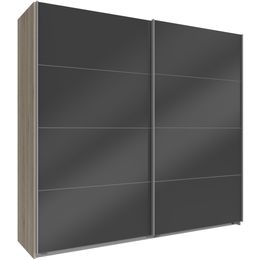 Schwebetürenschrank wimex "Easy" Schränke Gr. B/H/T: 225 cm x 210 cm x 65 cm, 2 St., grau (plankeneichefarben, grauglas) Schranksysteme und Schrankserien mit Vollglas