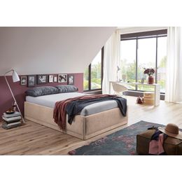 Polsterbett "Texel", beige (sand), B:146cm H:34cm L:206cm, Bezug Bett: Veloursstoff 100% Polyester oder Microfaser (100% Polyester);Bonnell-Federkernmatratze: 51% Polypropylen, 39% Polyester und 10% Baumwolle;Kaltschaummatratze: 100% Polyester, Bezug abnehm- und waschbar bis 60C;Kissenbezug: 100% Polyester, Füllung : 100% Polyester (Hohlfaser), Westfalia Schlafkomfort, Betten, Standardhöhe mit Zie
