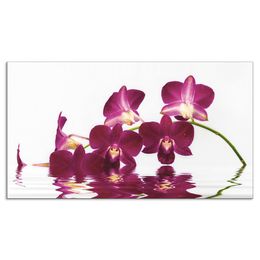 Küchenrückwand Artland "Phalaenopsis Orchidee" Spritzschutzwände Gr. B/H: 90 cm x 50 cm, lila Küchendekoration Alu Spritzschutz mit Klebeband, einfache Montage