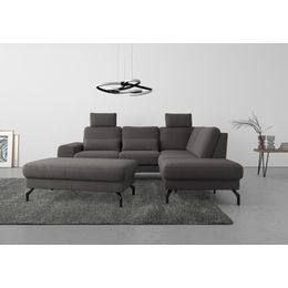Sit & More Ecksofa SIT & MORE "Cinturo L-Form", grau (fango), B:260cm H:91cm T:226cm, Sofas, Ecksofa, inklusive Sitztiefenverstellung und Federkern, Sitzh&ouml;he 48 cm