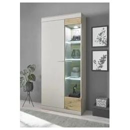 Vitrine Inosign "SCARA", grau (kieselgrau), B:90cm H:199cm T:35cm, Schränke, mit Applikation Zinneiche Dekor, Breite 90 cm, mit Softclose-Funktion