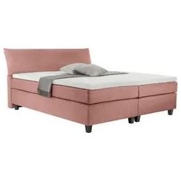 Boxspringbett Tom Tailor HOME "COLOR BOX" Komplettbetten Gr. Struktur fein TBO ohne Tom Tailor Print, Liegefläche B/L: 200cm x 200cm, H2/H3, 5-Zonen-Tonnentaschen-Federkernmatratze, rosa (blush tbo 27) Boxspringbett ohne Print