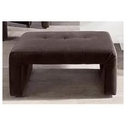 Polsterhocker exxpo - SOFA FASHION Hocker Gr. B/H/T: 100cm x 49cm x 54cm, NaturLEDER, braun (schoko) Breite 100 cm