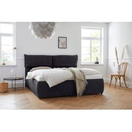 Polsterbett Andas "Jenson", grau (anthrazit), B:208cm, Struktur weich (85% Polyester/15% Nylon), Betten, als Bettgestell oder mit 3 Matratzenarten und Härtegraden