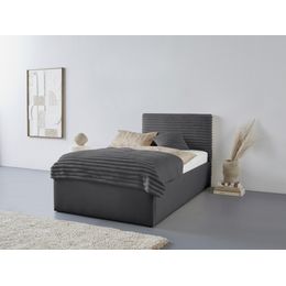 Polsterbett "Vita", grau (anthrazit), L:210cm, Bezug: 100% Polyester, Polsterung: Polsterwatte, Material, Gestell: gepolsterter Holzwerkstoff, Westfalia Schlafkomfort, Betten, auch mit Stauraum erhältlich, inkl. Kopfteilverstellung