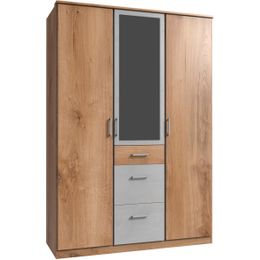 Kleiderschrank wimex "Click" Schränke Gr. B/H/T: 135 cm x 199 cm x 58 cm, 3 St., grau (plankeneichefarben, beton, nachbildung lichtgrau) Drehtürenschrank Kleiderschrank Schränke mit Spiegel