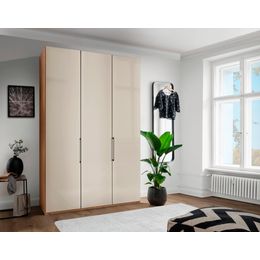 Falttürenschrank Wiemann "Monaco" Schränke Gr. B/H/T: 148,4 cm x 236 cm x 58 cm, 3 St., braun (bianco, eiche, nachbildung, glas champagner) mit Glasfront sowie hochwertigen Beschlägen