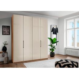 Falttürenschrank Wiemann "Monaco" Schränke Gr. B/H/T: 197,3 cm x 216 cm x 58 cm, 4 St., braun (bianco, eiche, nachbildung, glas champagner) mit Glasfront sowie hochwertigen Beschlägen