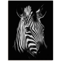 Wandbild Artland "Zebra" Bilder Gr. B/H: 60 cm x 80 cm, Leinwandbild Zebra Bilder Hochformat, 1 St., schwarz Kunstdrucke als Alubild, Outdoorbild, Leinwandbild, Poster, Wandaufkleber