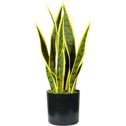 Sansevieria Pflanze h. 45 cm 12 leaves komplett mit Moostopf - King Home