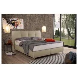 Boxspringbett Alina "Vicky" Komplettbetten Gr. Chenille TBS, Liegefläche B/L: 160cm x 200cm, H2/H3, 5-Zonen-Tonnentaschen-Federkernmatratze, grau (graubeige tbs 12) Boxspringbett getuftetes Kopfteil, inklusive Partnermatratze, verschiedene Größen