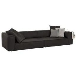 4-Sitzer W.Schillig "around-the-block" Sofas Gr. B/H/T: 300 cm x 66 cm x 104 cm, Longlife Xtra-Leder Z59, braun (braun z59) mit eleganter Biese, Federkern