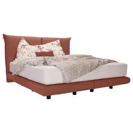 Boxspringbett Tom Tailor HOME "SOHO PILLOW BOX" Komplettbetten Gr. Chenille GCP ohne Tom Tailor Print, Liegefläche B/L: 200 cm x 200 cm, H2/H3, 5-Zonen-Tonnentaschen-Federkern-Partnermatratze, orange (soft coral gcp 737) Boxspringbett in Schwebeoptik, Kopfteil Kissenform, Höhe 120 cm