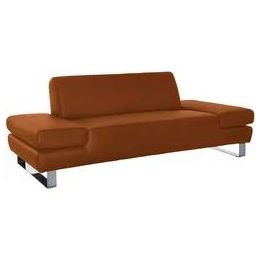 2-Sitzer W.Schillig "taboo" Sofas Gr. B/H/T: 202cm x 76cm x 91cm, Longlife Xtra-Leder Z69, mit Armlehnenverstellung, braun (cognac z69) mit Normaltiefe, inklusive Armlehnenverstellung