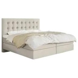 Boxspringbett Schlaraffia "Everton" Komplettbetten Gr. Webstoff FACE, Liegefläche B/L: 200cm x 200cm, H2 + H3, 7-Zonen-Tonnentaschen-Federkernmatratze, beige Boxspringbett inklusive BULTEX-Topper, Fuß in Schwebeoptik