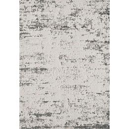 Majolika Halı Teppich Dekorativ Wohnzimmer Teppich, Modern Kurzflor Teppich, Schlafzimmer Te, 80 x 150 cm