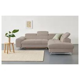 Ecksofa COTTA "Chef L-Form" Sofas Gr. B/H/T: 257 cm x 72 cm x 206 cm, Luxus-Microfaser, Ottomane rechts, mit Kopfteilverstellung-ohne Bettfunktion, braun (mud) mit Kopfteilverstellung, wahlweise Bettfunktion