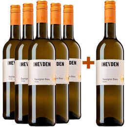 Weingut Dr. Heyden Dr. Heyden 2023 5+1 Paket Sauvignon Blanc trocken