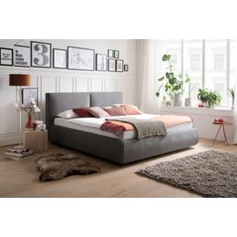 Meise Möbel Polsterbett MEISE.MÖBEL "Atesio", grau (anthrazit), B:199cm H:103cm L:225cm, Bezug Bett: Stoff (90% Polyester, 10% Baumwolle), Betten, Wahlweise mit Lattenrost, Matratze und Bettkasten, Topseller