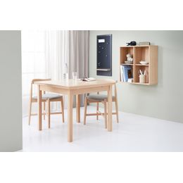 Essgruppe HAMMEL FURNITURE "Findahl/Basic by Hammel Dinex/Dora" Sitzmöbel-Sets braun (naturfarben, graugrün, natur) mit Dinex Esstisch 90(166)x90 und 2 Dora Stühle