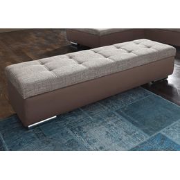 Hocker DOMO collection "Treviso XXL: B/T/H: 161/60/41 cm" Gr. B/H/T: 161 cm x 41 cm x 60 cm, Kunstleder SOFTLUX-Struktur, braun (braun, beigebraun, beigebraun) Hocker mit Stauraum Polsterhocker Stauraum, auch in Cord, passend zur Serie, moderne Steppung