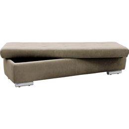 Hocker DOMO collection "Treviso XXL: B/T/H: 161/60/41 cm" Gr. B/H/T: 161 cm x 41 cm x 60 cm, Cord, braun (schlamm) Hocker mit Stauraum Polsterhocker Stauraum, auch in Cord, passend zur Serie, moderne Steppung