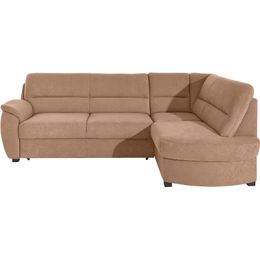Sit & More Ecksofa SIT & MORE "Pandora L-Form", braun, B:251cm H:91cm T:176cm, Luxus-Microfaser ALTARA NUBUCK (100% Polyester);Luxus-Microfaser ALTARA NUBUCK (100% Polyester);Luxus-Microfaser (100% Polyester), Sofas, Ecksofa, wahlweise mit Bettfunktion und Bettkasten