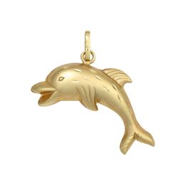 Ketten-Anhänger Jobo "Anhänger Delfin" Schmuckanhänger Gr. Gelbgold 333, goldfarben (gelbgold 333) Damen Anhänger 333 Gold