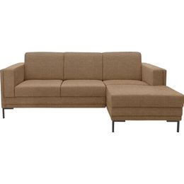 Ecksofa "LOOKS VII L-Form", braun (messing), B:214cm H:82cm T:146cm, 100% Polyester, LOOKS by Wolfgang Joop, Sofas, Ecksofa, klare Linien, edles Design