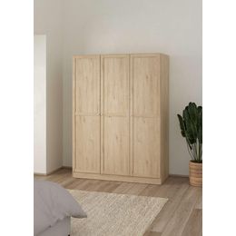 Kleiderschrank Home Affaire "Billund Aufbewahrung Kasten Schrank Stauraum" Schränke Gr. B/H/T: 147 cm x 200,1 cm x 61,7 cm, 3 St., braun (jackson hickory) Kleiderschränke mit Rahmentüren, Einlegeböden, 1 Kleiderstange, B: 147 oder 195 cm