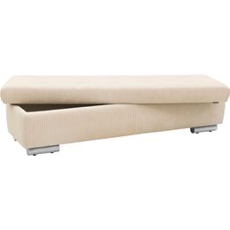 Hocker DOMO collection "Treviso XXL: B/T/H: 161/60/41 cm" Gr. B/H/T: 161 cm x 41 cm x 60 cm, Cord, beige (creme) Hocker mit Stauraum Polsterhocker Stauraum, auch in Cord, passend zur Serie, moderne Steppung