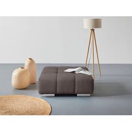 Hocker COTTA "Orion" Gr. H/T: 42 cm x 103 cm, Luxus-Microfaser, grau (charcoal) gemütlicher Hocker im modernen Design