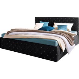 Polsterbett, schwarz, B:190cm L:212cm, Bezug Bett: Microfaser (100% Polyester);Bonnell-Federkernmatratze: 51% Polypropylen, 39% Polyester, 10% Baumwolle;Kaltschaummatratze: 100% Polyester, Bezug abnehm- und waschbar bis 60C, Westfalia Schlafkomfort, Betten, inkl. Bettkasten bei Ausführung mit Matratze