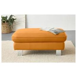 Hocker COTTA "Driver" Gr. B/H/T: 101cm x 46cm x 65cm, Leder PAMPAS, braun (amber) mit edlen Metallfüßen