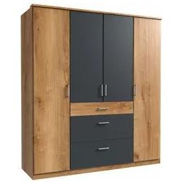 Kleiderschrank wimex "Click" Schränke Gr. B/H/T: 180 cm x 199 cm x 58 cm, 4 St., grau (plankeneichefarben, graphit) Drehtürenschrank Kleiderschrank Schränke ohne Spiegel