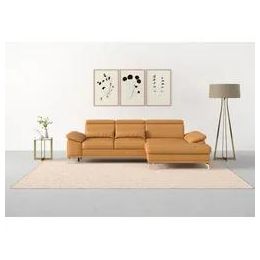 Sit & More Ecksofa SIT & MORE "Cabrio L-Form" Sofas Gr. B/H/T: 295cm x 87cm x 180cm, NaturLEDER, Recamiere rechts, mit Sitztiefenverstellung-mit Kopfteilverstellung-mit Armteilfunktion-mit 2 Nierenkissen-Rücken Spannstoff, gelb (curry) mit Sitztiefen- und Armteilverstellung sowie Federkern, 2 Nierenkissen